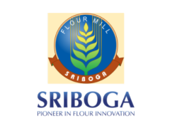 Alomet Strategic Consulting Firm | Embrace The Future