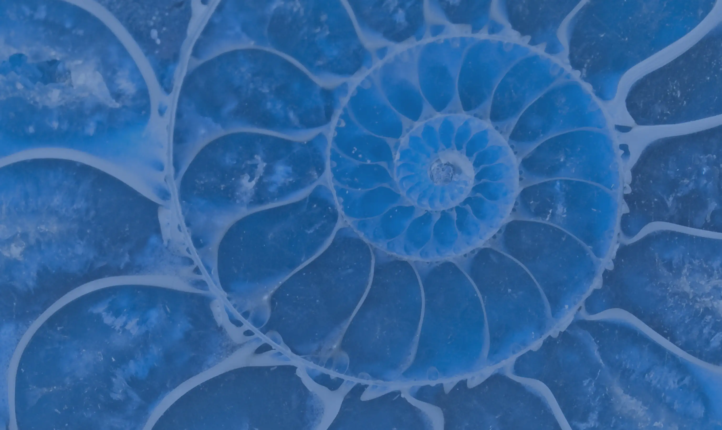 Alomet Strategic Consulting Firm | Embrace The Future